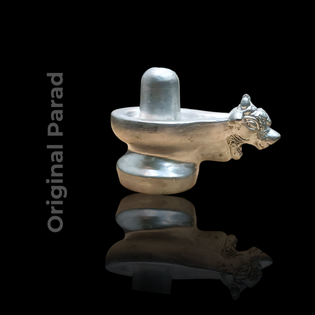 Original Parad Gaumukhi / Gomukhi Shivling (Parad Gomukh Shivling) 300 ...