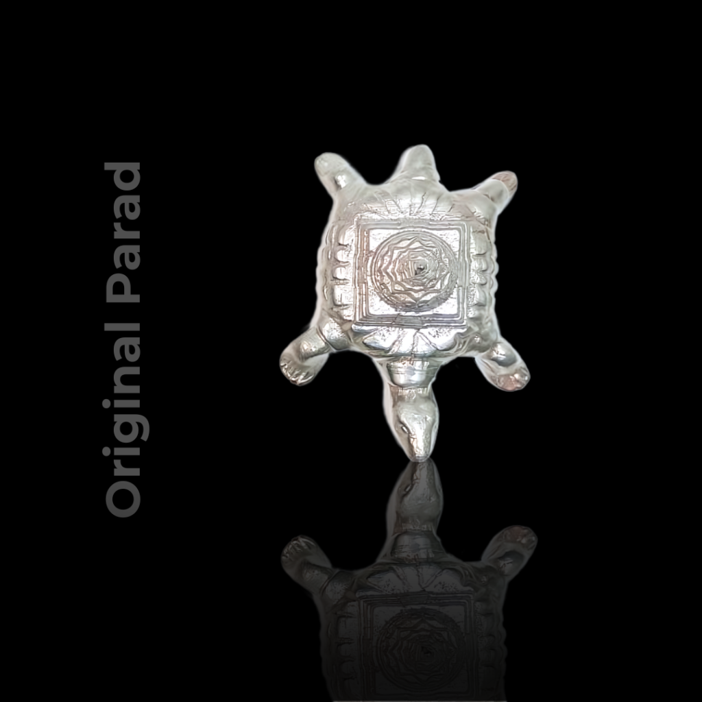 Original Parad (Mercury) Meru Kachap Shri Yantra – 150 gm (PAMK-002 ...
