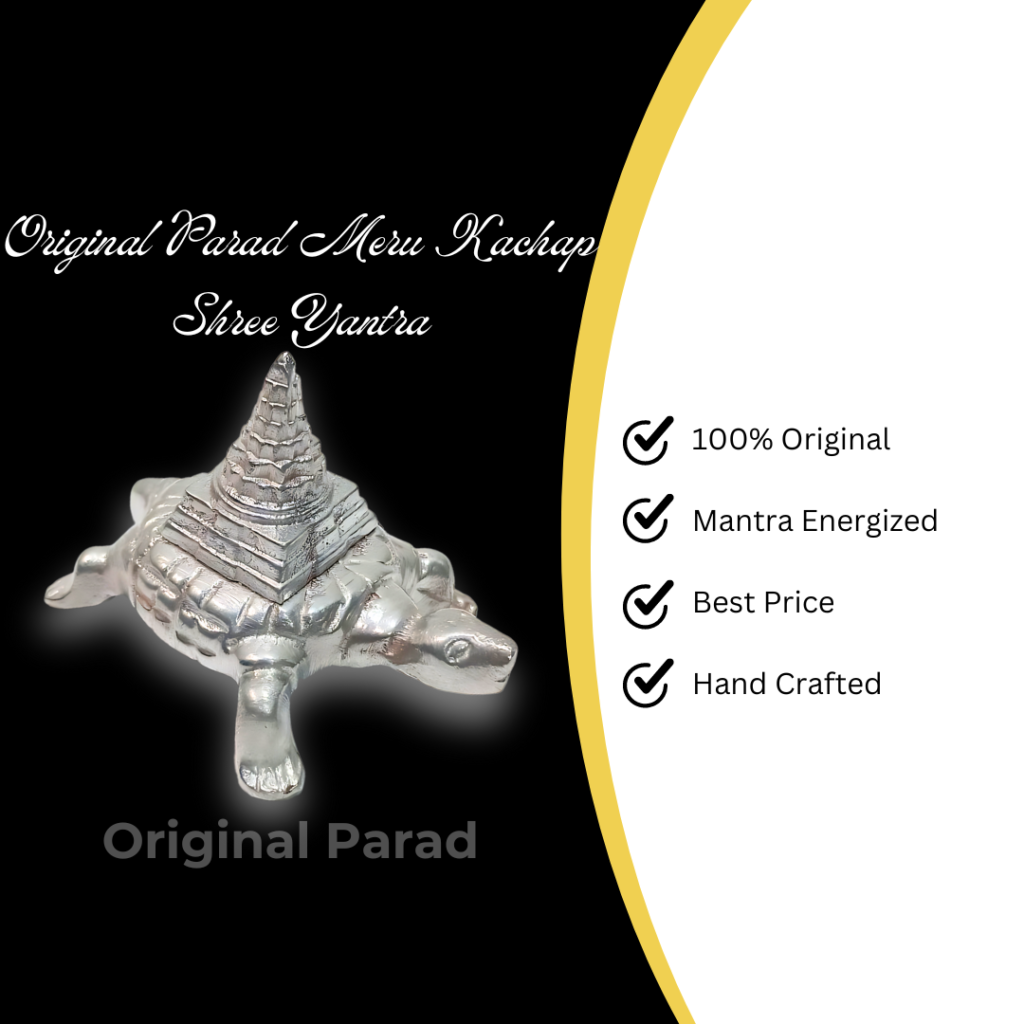 Original Parad (Mercury) Meru Kachap Shri Yantra – 150 gm (PAMK-002 ...