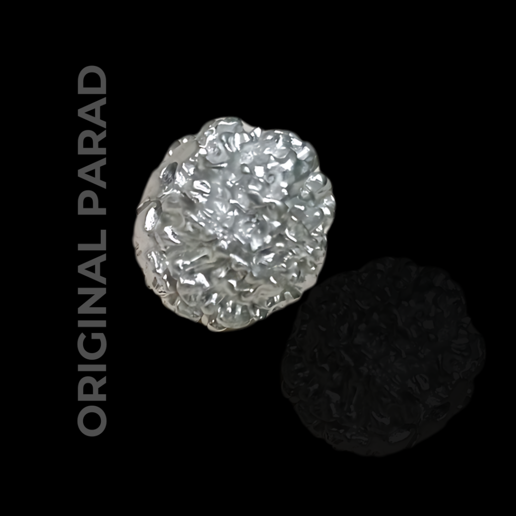 Original Parad Panchmukhi Rudraksha / Five Face Rudraksha Bead 25 gm ...