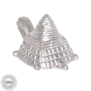 Parad (Mercury) Meru Kachap Shri Yantra -250 Gm- (PAMK-001) - Original ...